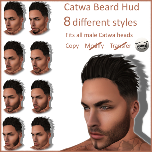 Second Life Marketplace - Catwa Beard / Facial hair hud Catwa ( box ...
