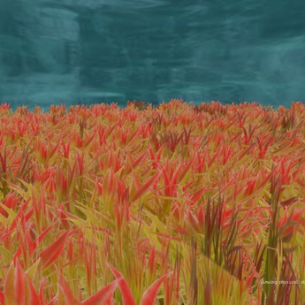 Second Life Marketplace - Sea Brush Set