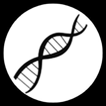 Second Life Marketplace - ::AnOosh:: Jane for Genesis Lab JANE Bento ...