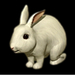 Second Life Marketplace - Sanna The Big Fluffy Bunny Alpha MP