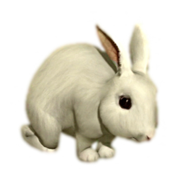 Second Life Marketplace - Sanna The Big Fluffy Bunny Alpha MP