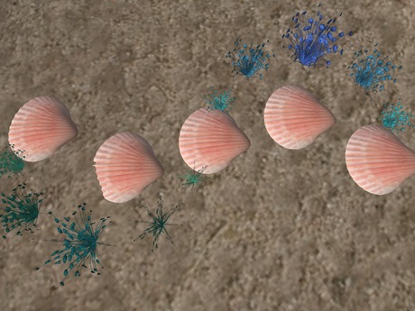 Second Life Marketplace - The Mermaids Realm ~ Sea Shell Path (Mesh)