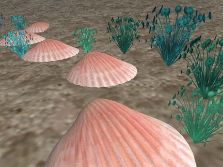 Second Life Marketplace - The Mermaids Realm ~ Sea Shell Path (Mesh)