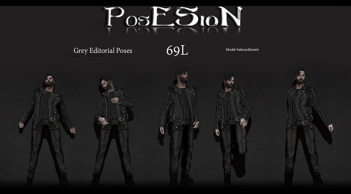 Second Life Marketplace - *PosESioN* Grey Editorial Set