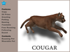 Second Life Marketplace - [TomatoPark] Cougar Mesh ( Rez + Wear )