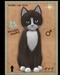 Second Life Marketplace - KittyCatS Box - Chateau Cat - Tawny & White No.1