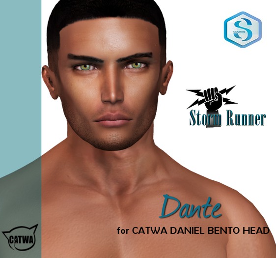 Second Life Marketplace - Storm Runner Shapes - DANTE - for Catwa ...