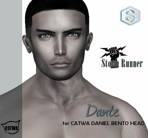 Second Life Marketplace - Storm Runner Shapes - DANTE - for Catwa ...