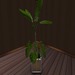 Second Life Marketplace - Huxley Planter with Palm, Filadendron and Ginger