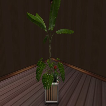 Second Life Marketplace - Huxley Planter with Palm, Filadendron and Ginger