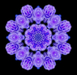 Second Life Marketplace - Sanna Blue Roses Kaleidoscope Alpha SET MP