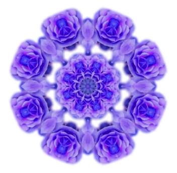 Second Life Marketplace - Sanna Blue Roses Kaleidoscope Alpha SET MP