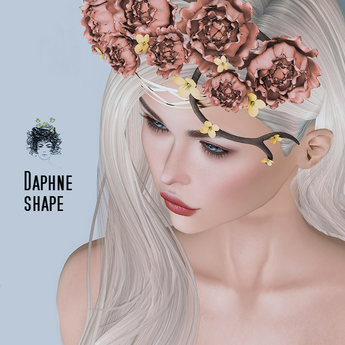 Second Life Marketplace - { wren's nest } Daphne Shape for LeLutka ...