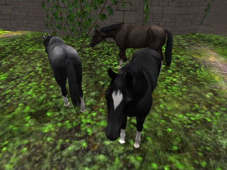Second Life Marketplace - All The Kings Horses (Animated) Promo