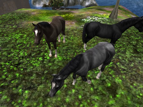Second Life Marketplace - All The Kings Horses (Animated) Promo