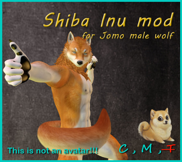 Second Life Marketplace - Shibainu Jomo wolf V3 male Mod(WEAR ME)