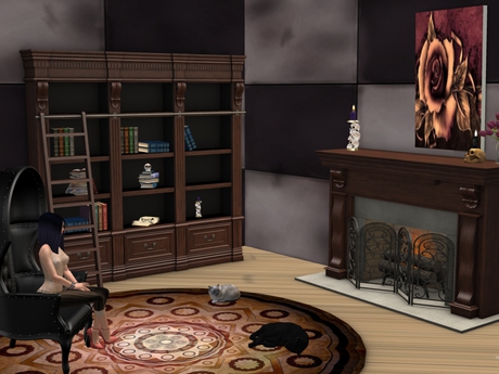 Second Life Marketplace - Today's Gothic Library (crate)
