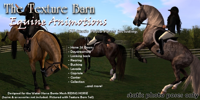 Second Life Marketplace - Equine Animotions Pack 17 Static Poses for ...