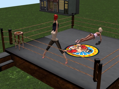 Second Life Marketplace - Complete Boxing ring animated with glove ...