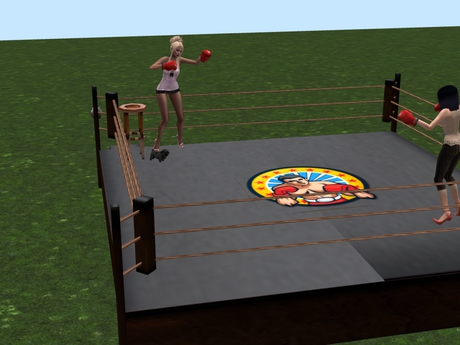 Second Life Marketplace - Complete Boxing ring animated with glove ...
