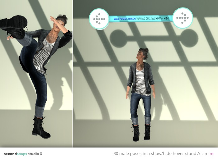 Second Life Marketplace - Set II: 30 Male Modeling Poses in a Show/Hide ...