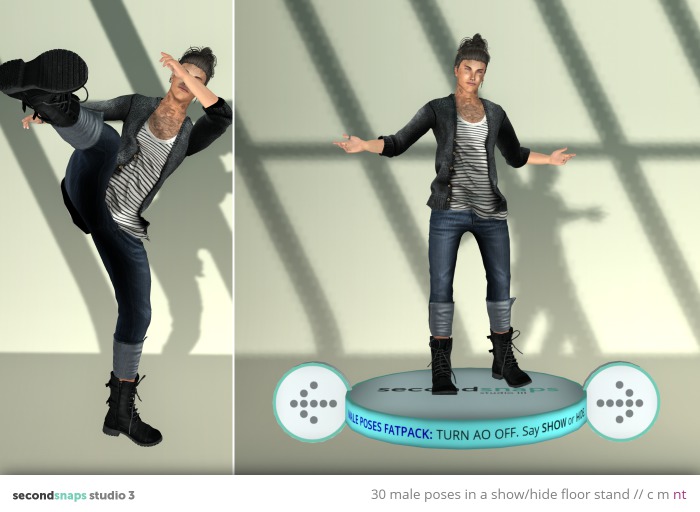 Second Life Marketplace - Set II: 30 Male Modeling Poses in a Show/Hide ...