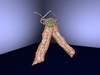 Second Life Marketplace - Maruti Textures Orange Plaid Ribbon Hinge ...