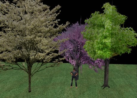 Second Life Marketplace - 3 COPYABLE Season-Changing Trees