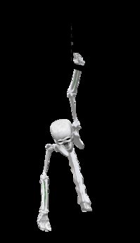 Second Life Marketplace - Sculpted Chained SKELETON Spine PLAYSET