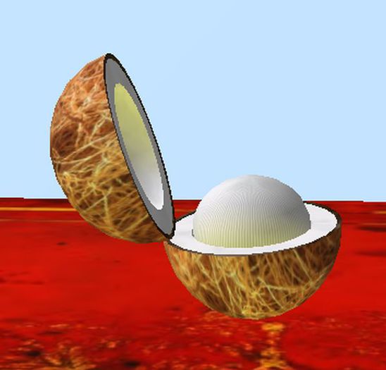 Second Life Marketplace - Coconut-Sponge