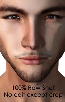 Second Life Marketplace - Bakaboo Shapes - for Catwa "Stanley" Head ...