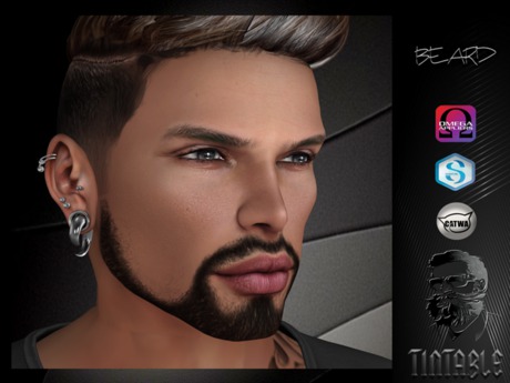 Second Life Marketplace - .::CDC Beard 52 Tintable Catwa/Sig/Omega ...