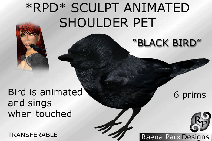 Second Life Marketplace - SCULPT ANIMATED SHOULDER PET: "BLACK BIRD ...