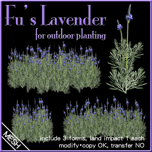 Second Life Marketplace - Fu's Lavender for outdoor planting