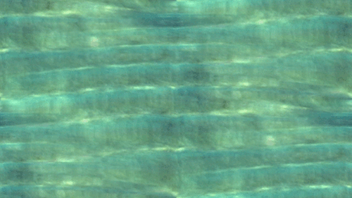 Second Life Marketplace - Sanna Sunlighted Green Water Waves Seamless ...