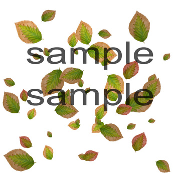 Second Life Marketplace - 40 Ground cover textures leaves textures ...