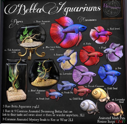 Second Life Marketplace - 7. *HEXtraordinary* Male Betta - Pearl