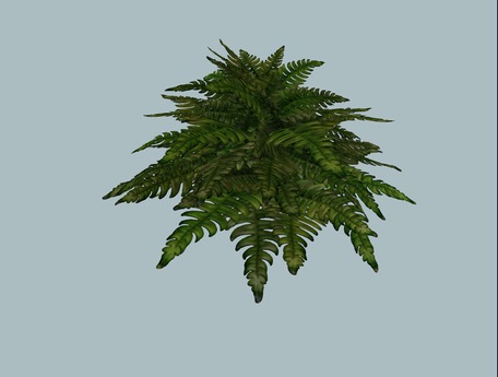 Second Life Marketplace - [TMC] Animated Fern Full Perm Mesh