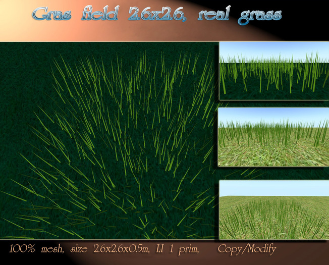Second Life Marketplace - Gras field 2.6x2.6, real grass