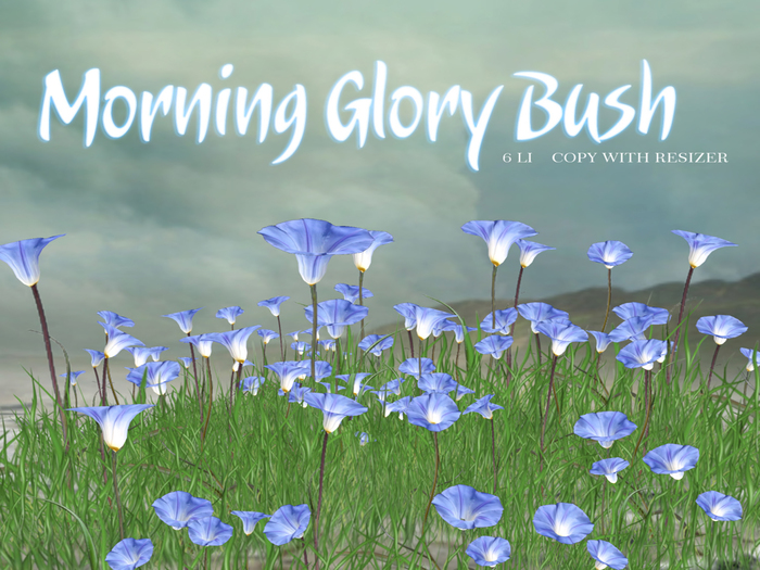Second Life Marketplace - Boudoir Garden - Morning Glory Bush