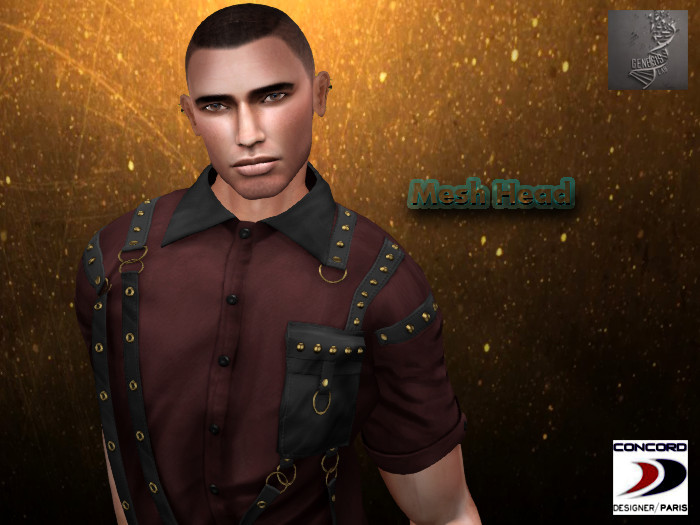 Second Life Marketplace - :::CONCORD::: GENESIS Mesh Head Applier HUD 19