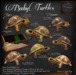 Second Life Marketplace - 3. *HEXtraordinary* Baby Slider Turtle ...