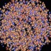 Second Life Marketplace - PARTICLE TRIPLE EXPLOSIONS VERY LARGE