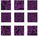Second Life Marketplace - @MA@ TEXTURES Purple Haze