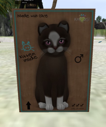 Second Life Marketplace - Chateau Cat - Coffee & Cream No. 1