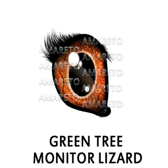 Second Life Marketplace - Green Tree Monitor Lizard F