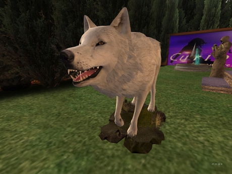 Second Life Marketplace - Wolf