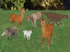Second Life Marketplace - 3D Animated Gor-Animals (Mesh) PEACEFUL Set