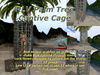 Second Life Marketplace - RLV-Palms Tree Captive Cage Trap