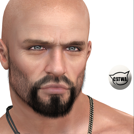Second Life Marketplace - {Beard} Catwa Fat Pack